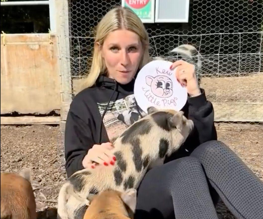 Calling all creatives! Kew Little Pigs launches logo design competition ...