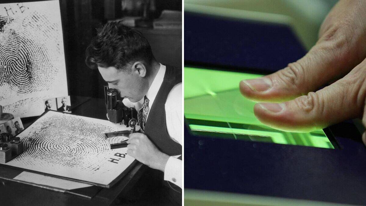 Fascinating facts and trivia about fingerprints
