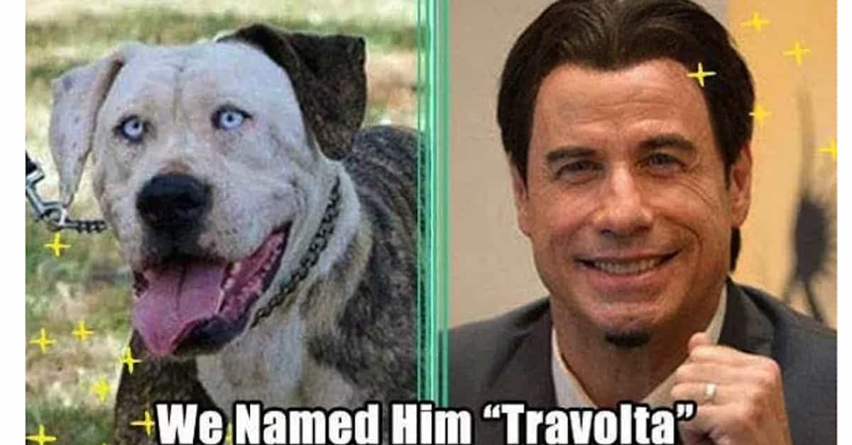 Pets with extremely appropriate names