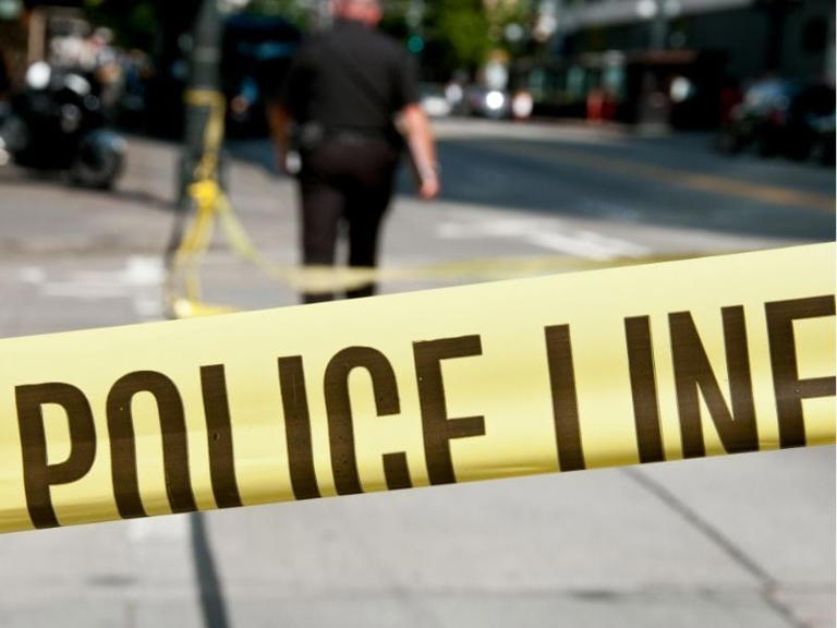 The U.S. is Losing $12.5 BILLION as International Tourists Have Stopped ...