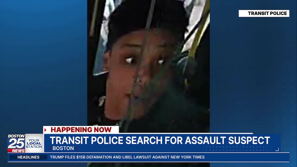 Police seek help identifying woman accused of shoving elderly passenger ...
