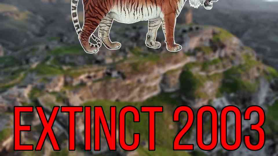 5 Recently Extinct Animals That Disappeared Forever