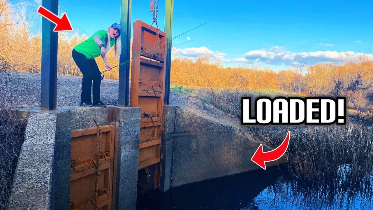 Tiny spillway loaded with aggressive fish for epic catch