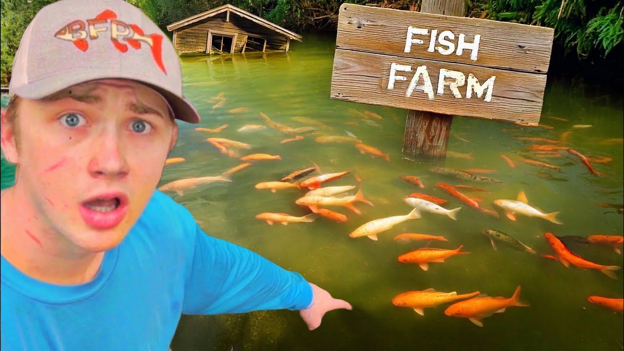I Found an Abandoned Fish Farm—And Something Was Still Alive