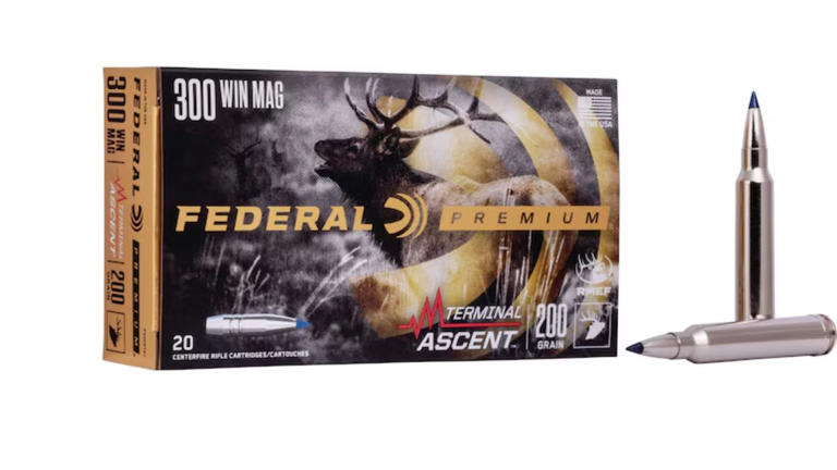 Calibers that destroy your shoulder and your confidence