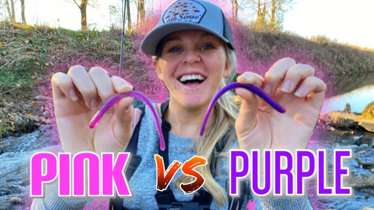 Pink versus purple worms experiment reveals bass results