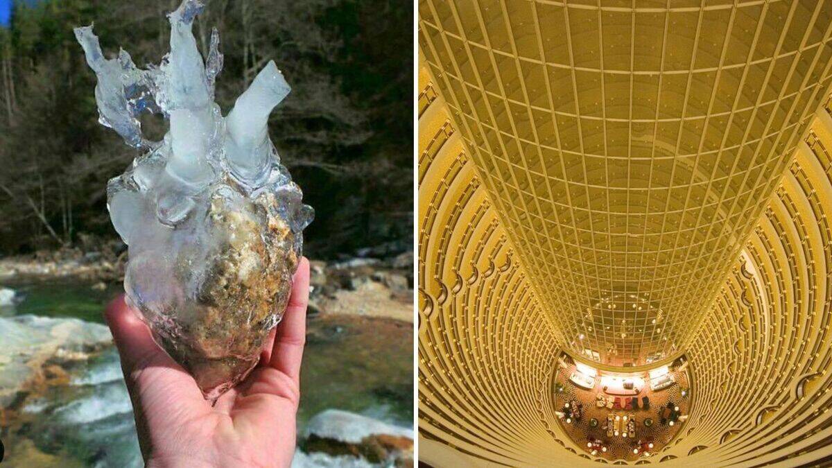Peculiar photos that opened our eyes to something new