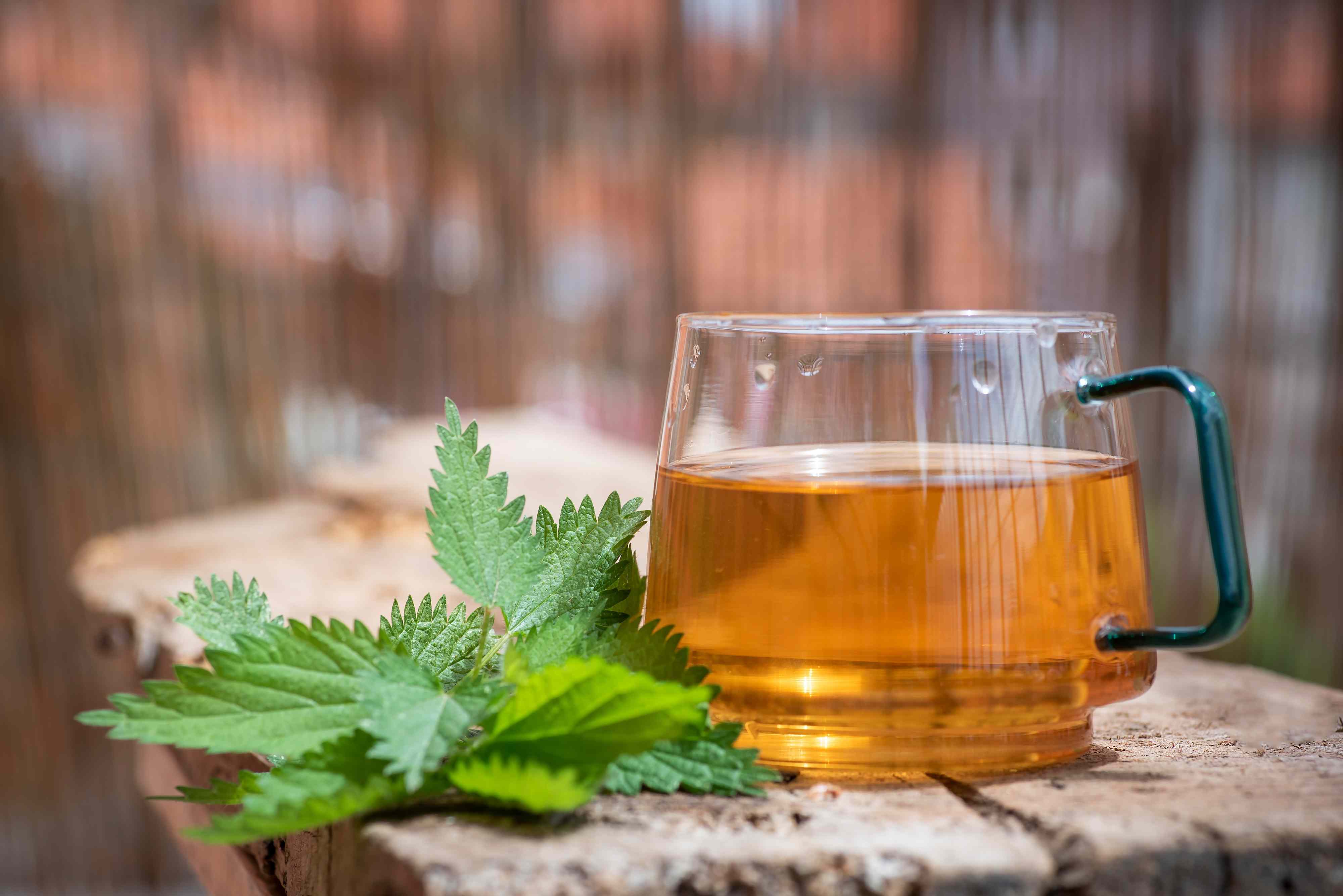What happens to your blood sugar if you drink nettle tea every day
