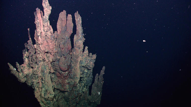 Deep-sea bacteria eat plastic waste in vents