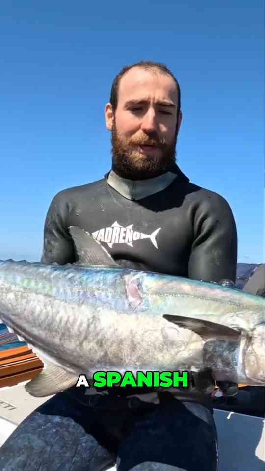 Cracking Fish Catch: Schoolie & Beautiful Evening Ahead!