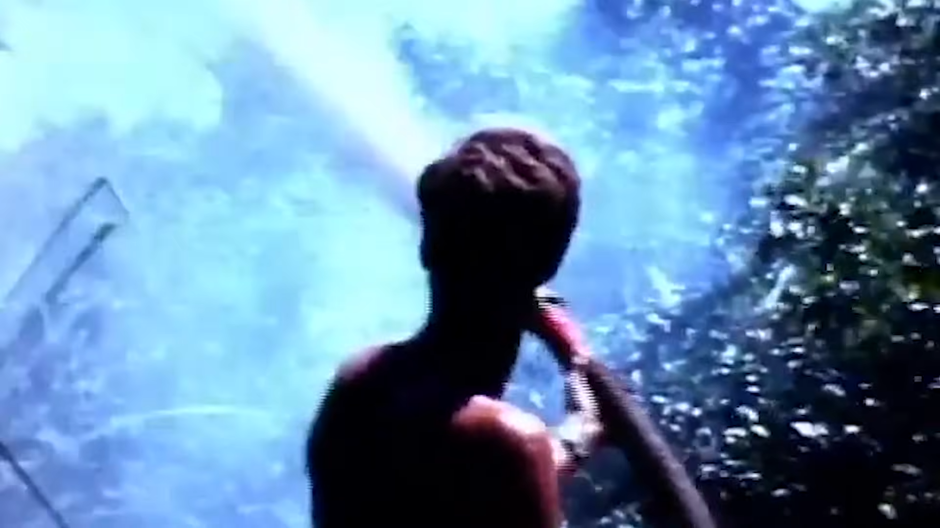 Agent Orange: Chemical Warfare in Vietnam