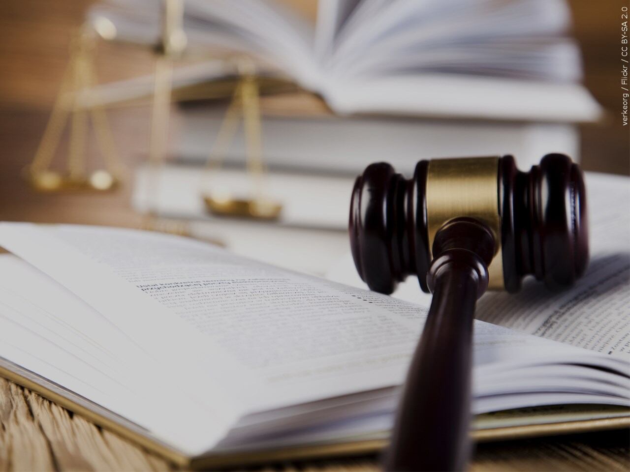 Tallahassee man, son of former LCSO deputy, pleads guilty to drug ...