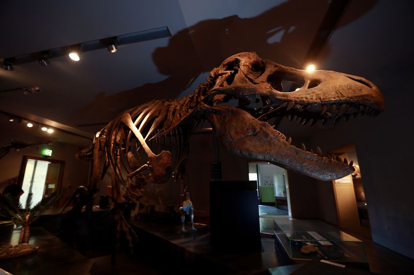 Newcastle museum to become 18+ 'haunted house' for Halloween with ...