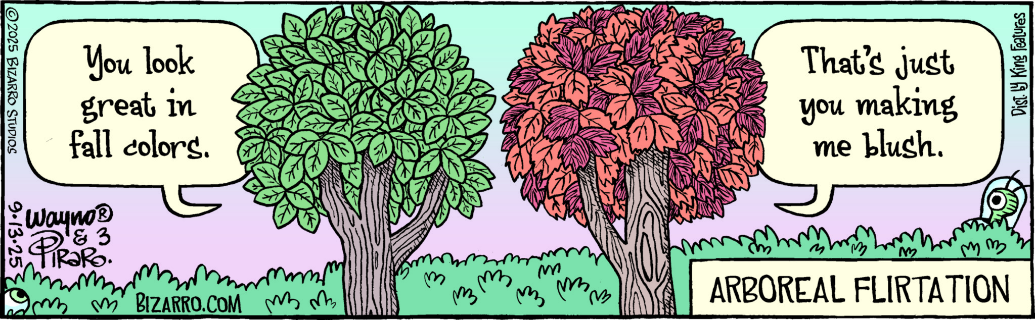 Bizarro by Wayno & Piraro