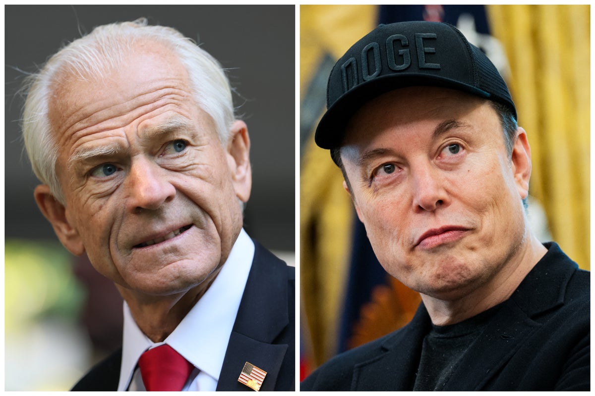 Peter Navarro calls on Musk to cleanse ‘cesspool’ on X and ban ...