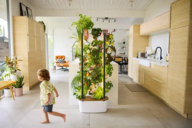 The most interesting product design of 2025