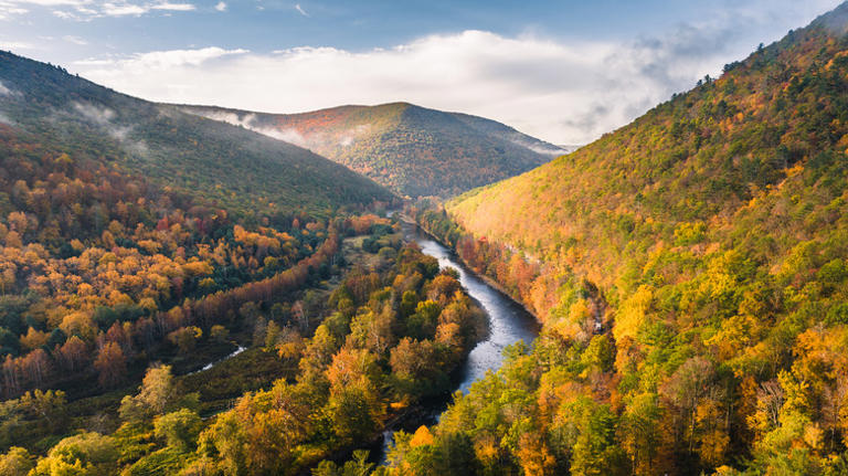 Pennsylvania's 'Grand Canyon' Is A Top Destination For Fall Foliage ...