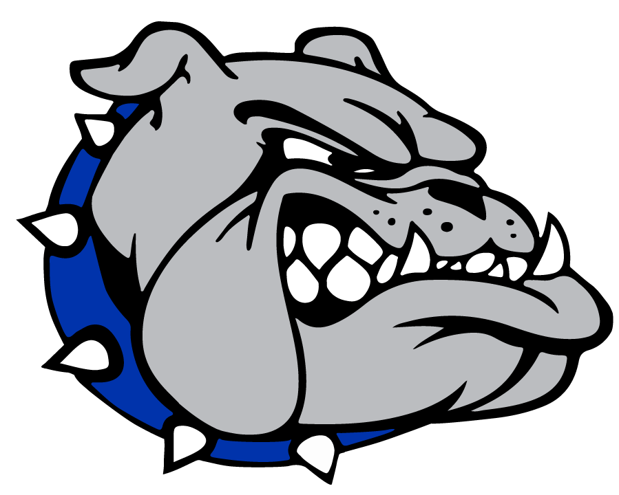 Girls basketball roundup: Ionia, Olivet, Charlotte, St. Patrick among ...