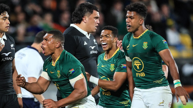 Damian Willemse’s Wellington masterclass sparks Springboks inside ...