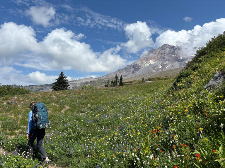 Take a breathtaking journey on Oregon's iconic Timberline Trail around ...