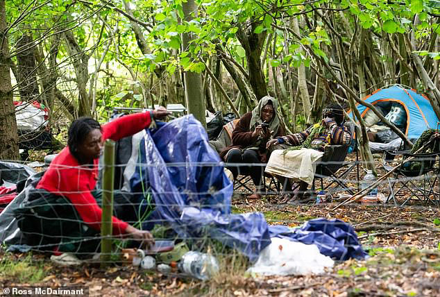 Self-styled tribe evicted from woodland...only to set up new camp just ...