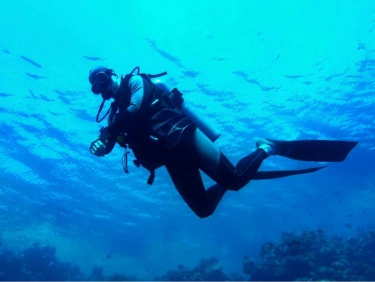 Disney Springs Restaurant Robbed By Man In Scuba Gear: Reports