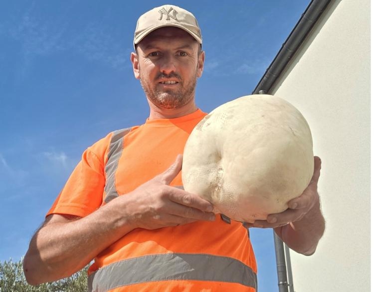 « Je n’ai jamais vu un spécimen aussi gros » : il tombe sur un ...