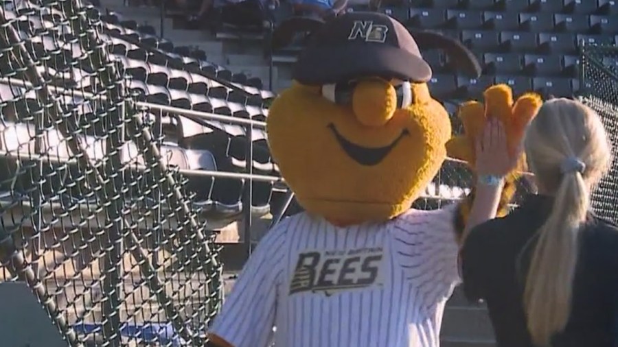 New Britain Bees baseball team extend lease for 5 years
