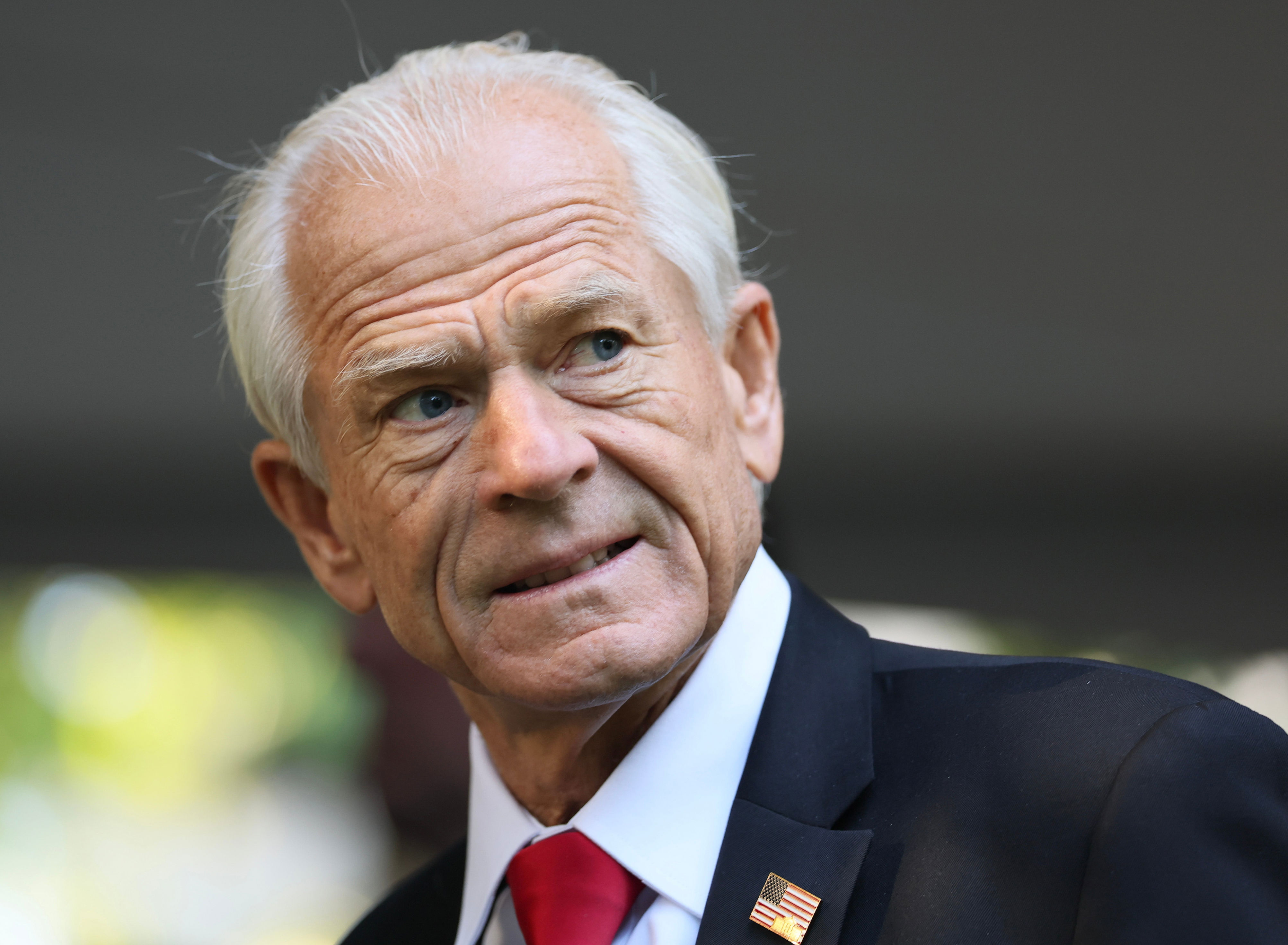 Peter Navarro calls on Musk to cleanse ‘cesspool’ on X and ban ...