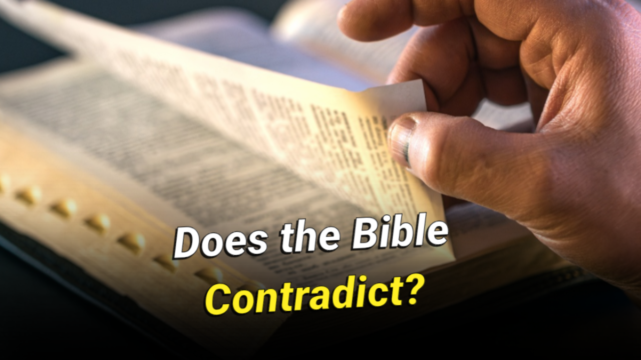 9 Common Questions People Ask About the Bible