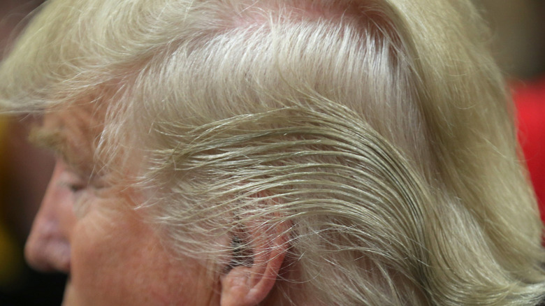 The Reported Truth Behind Donald Trump's Famous Hair Is Even Stranger ...