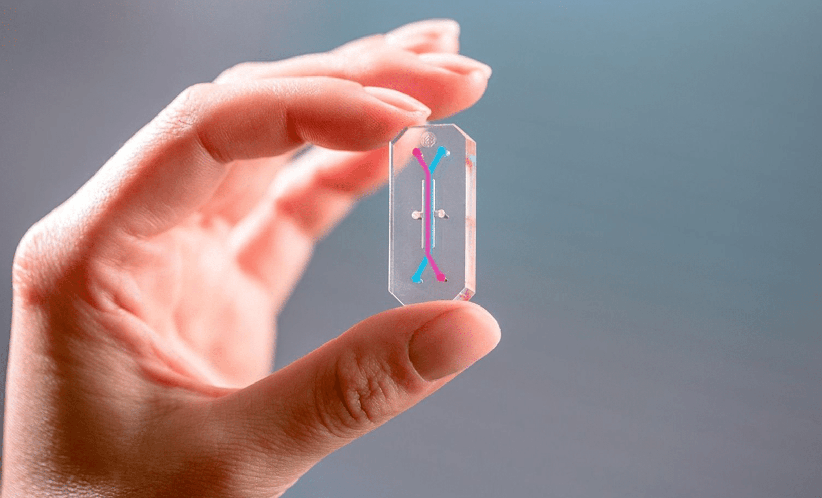 NASA’s AVATAR Project Will Revolutionize Astronaut Health and Medicine ...