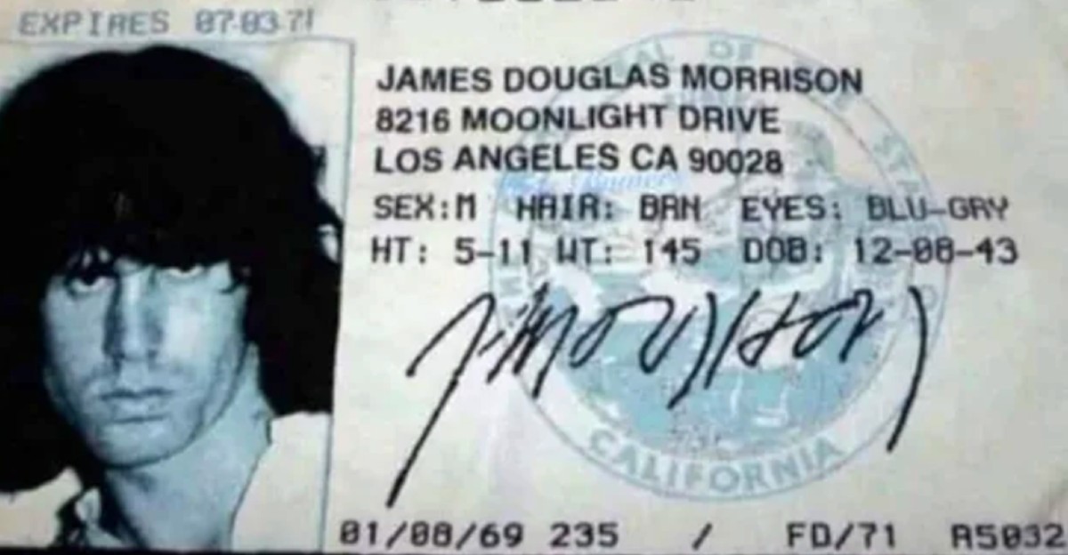 20 Vintage Photos of Celebrities’ Driver’s Licenses