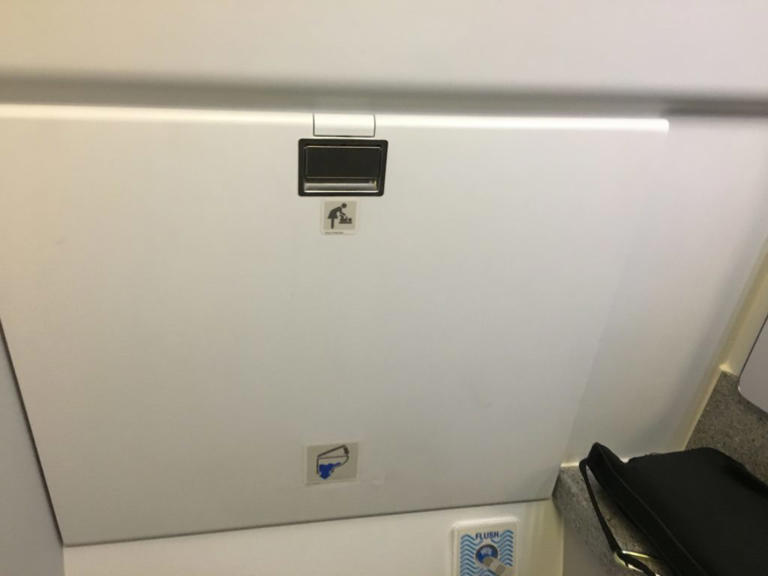 Diaper Duty at 35,000 Feet: Your Essential In-Flight Guide to Changing ...