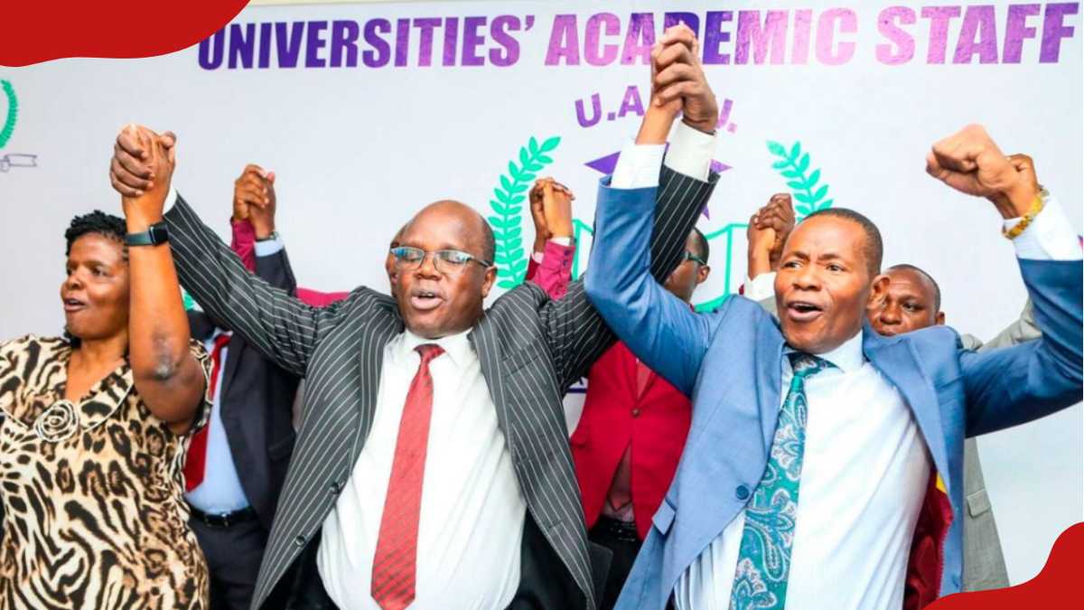 Lecturer's strike: Hope as UASU hints at ending 7-week industrial ...