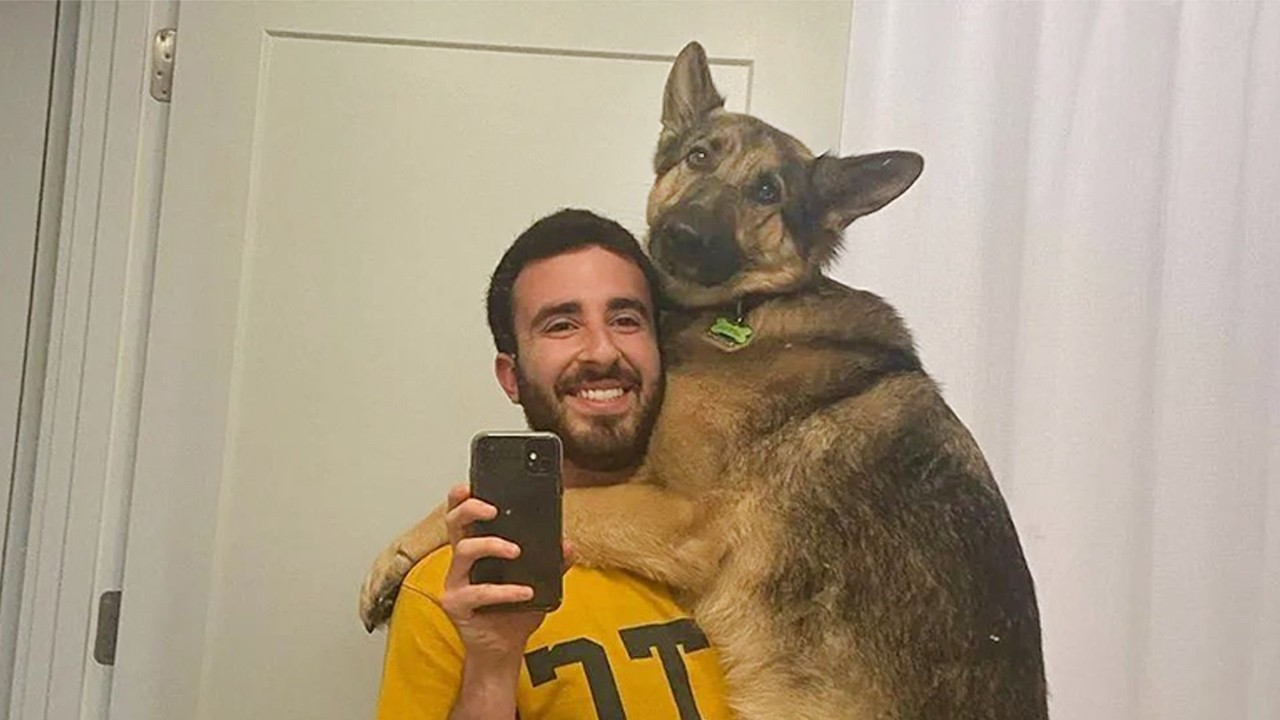 Funny velcro dog follows their human everywhere in the house