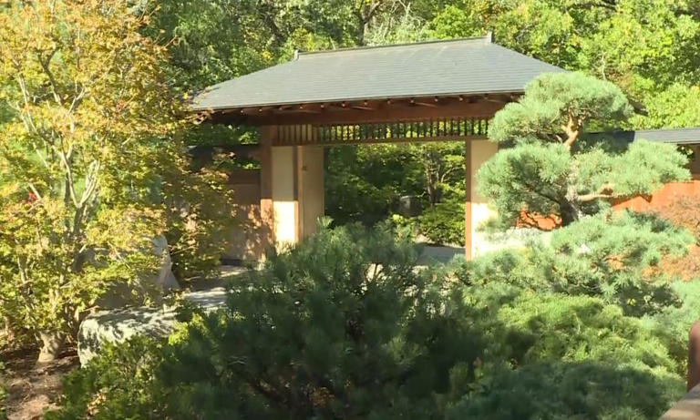 Anderson Japanese Gardens to open for 2026 season