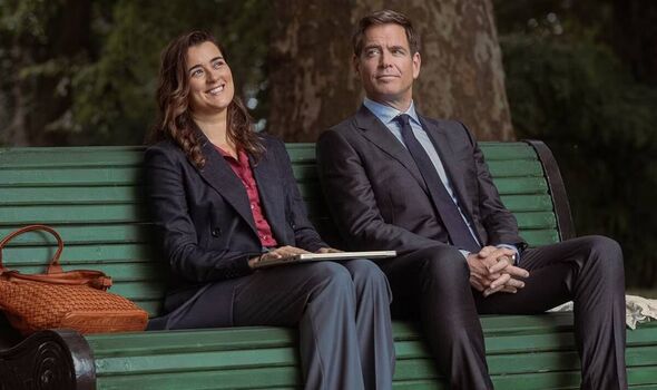 NCIS star Michael Weatherly talks 'fun dynamic' with Cote de Pablo on ...