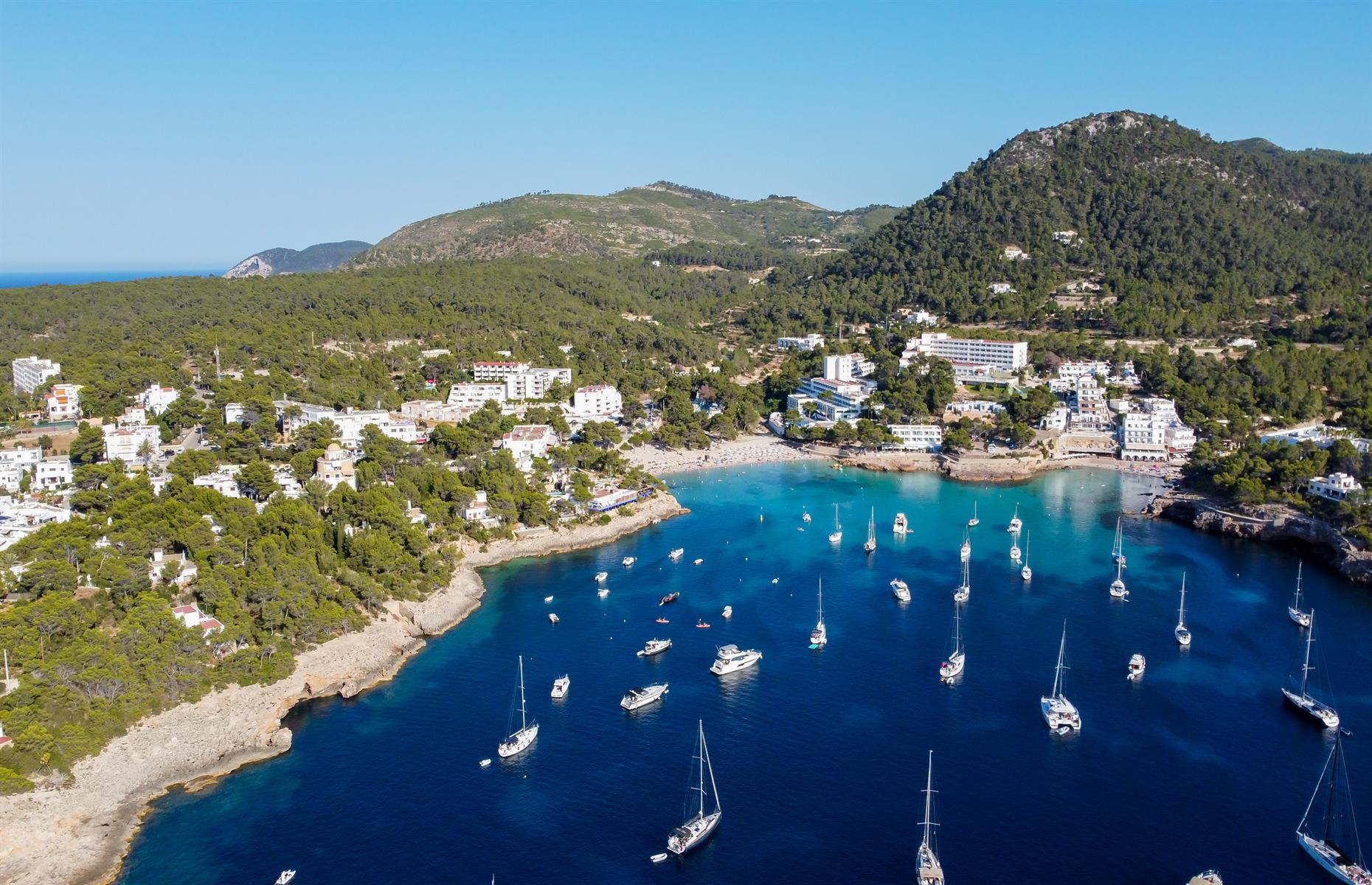 The world's most controversial CEOs