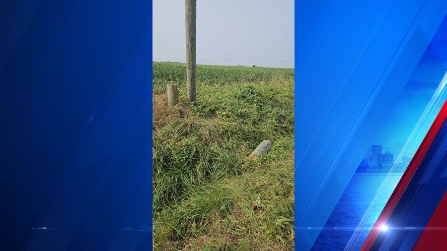 Cash reward issued after utility pole cut with chainsaw
