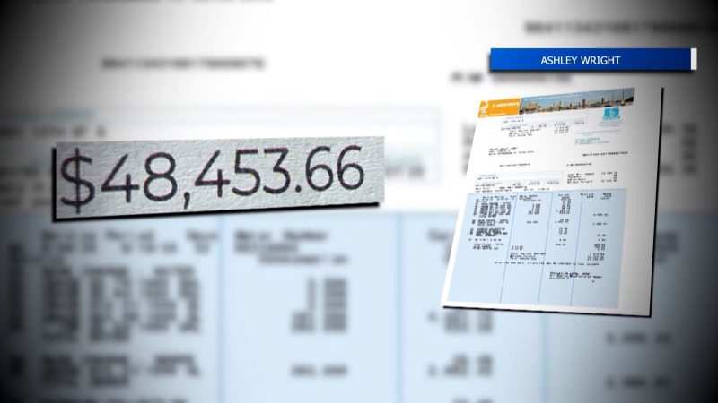 Former city employee: Safeguards should have flagged St. Pete woman’s ...