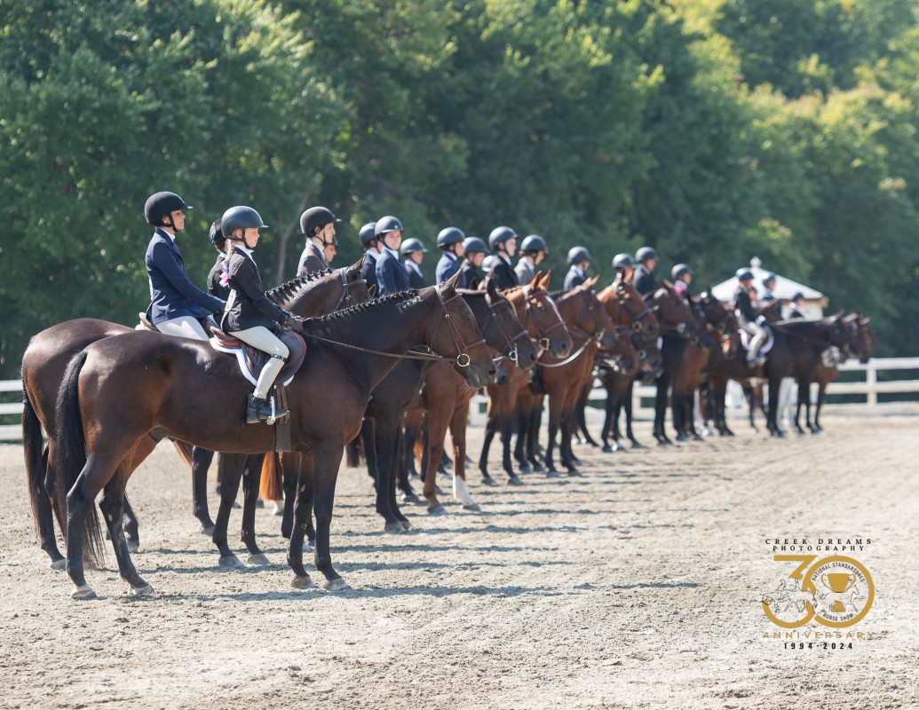 Off-Track Standardbreds Showcased In National Standardbred Horse Show