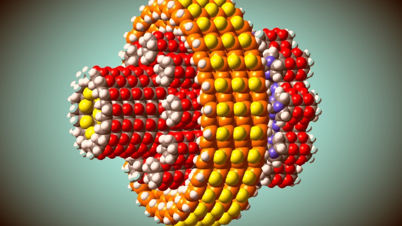 Self-replicating nanobots repair tissue