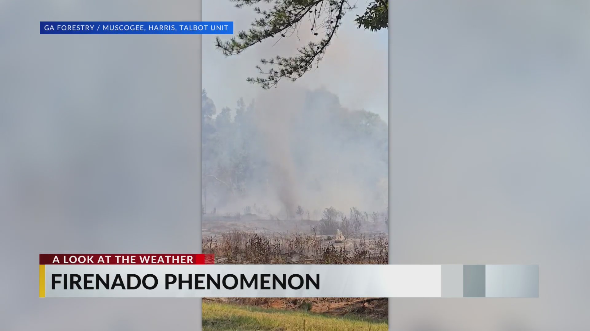 Spinning Flames? Yep, That’s a Firenado