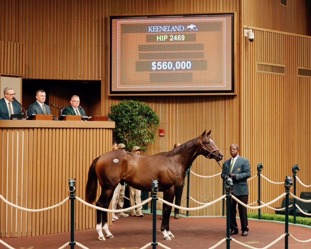 Hot Pace Continues During Eighth Keeneland September Sale Session