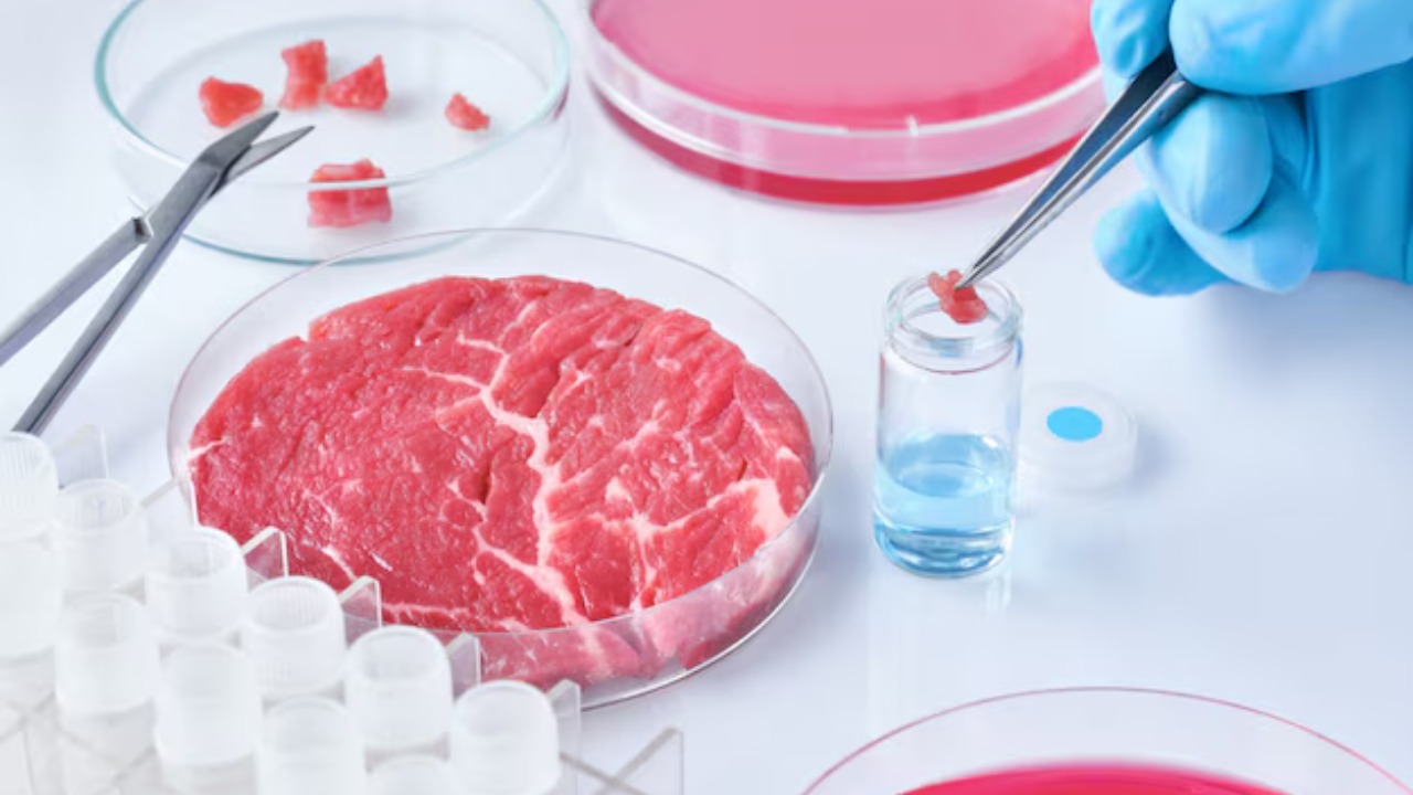 Lab-grown meat hits stores at half beef’s cost