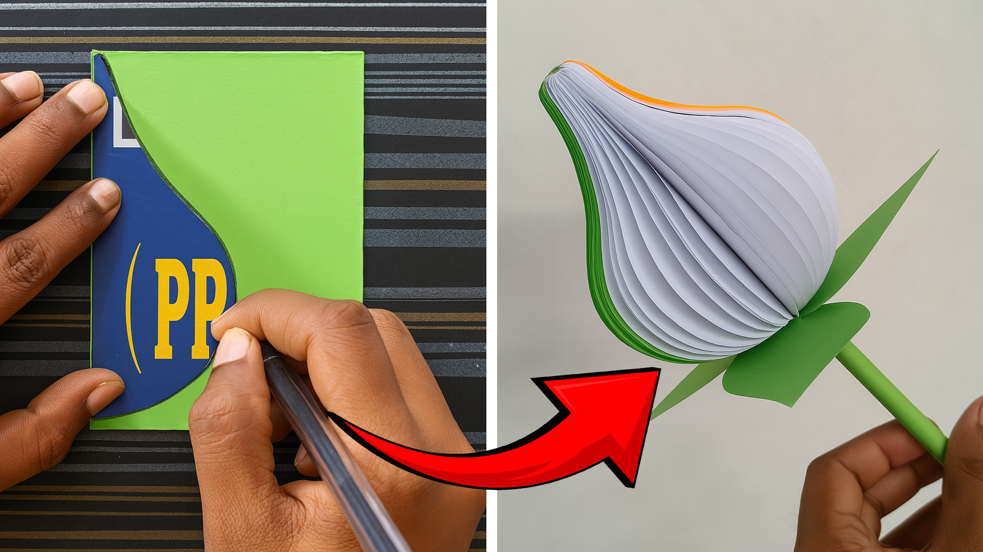 DIY Independence Day Tricolour Lotus Craft