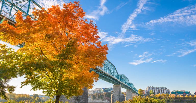 Here Are the Best Times and Places to View Tennessee's Fall Foliage in 2025