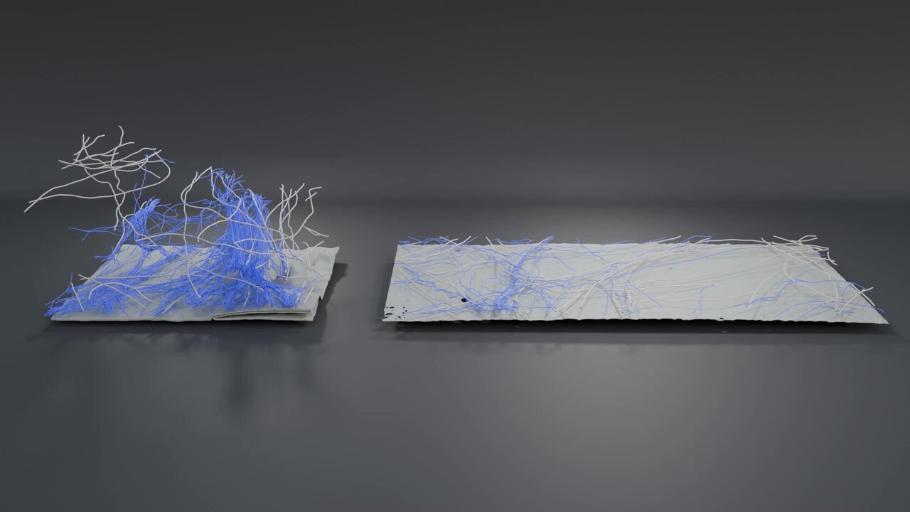 Scientists reveal hidden dynamics of the cell's smallest structures