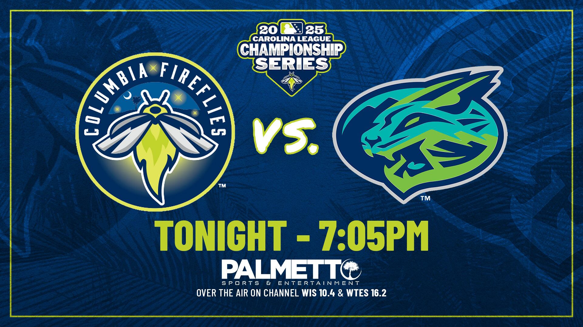 Fireflies look to win Carolina League title, game will air on Palmetto ...